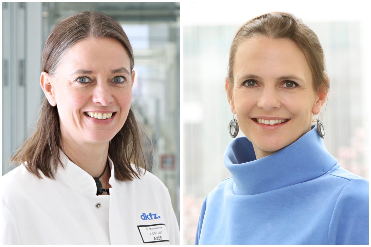 Zwei DKFZ-Forscherinnen mit Deutschem Krebspreis ausgezeichnet - Deutsches Krebsforschungszentrum