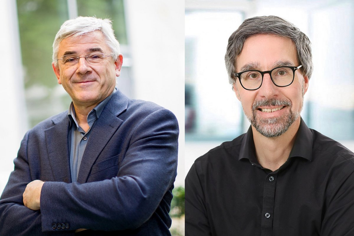 Double ERC success for DKFZ researchers - German Cancer Research Center