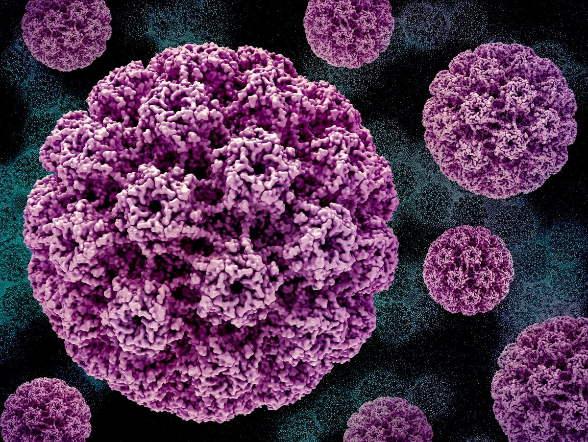 Therapeutic vaccination against HPV-related tumors: Nanoparticles make ...