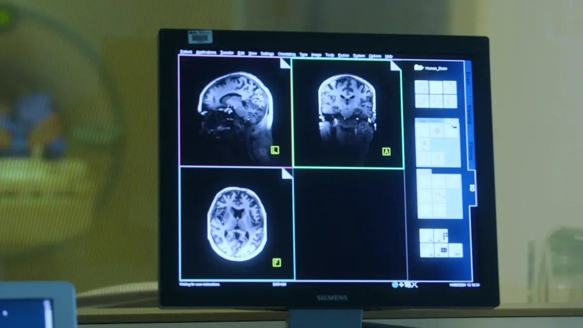 60 Jahre DKFZ - Deutsches Krebsforschungszentrum