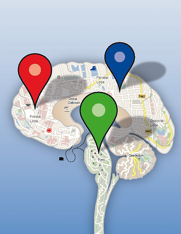 New classification for malignant brain tumors - German Cancer Research ...