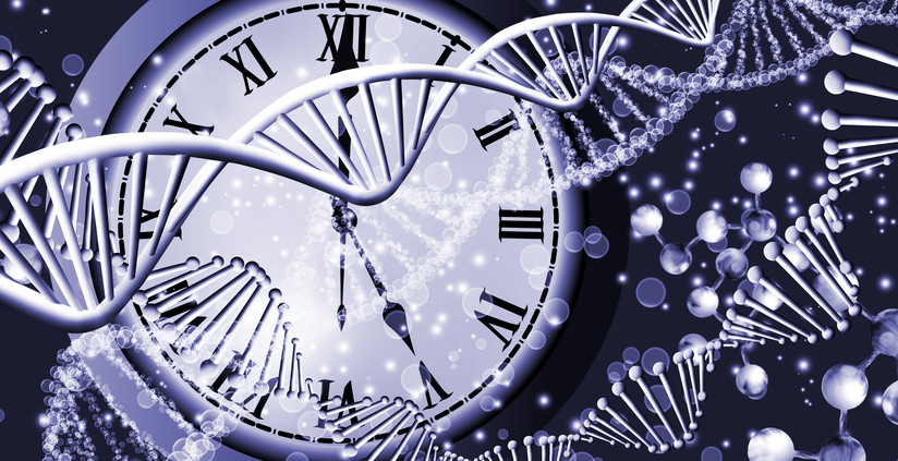 Higher Biological Age - Higher Cancer Risk - German Cancer Research Center