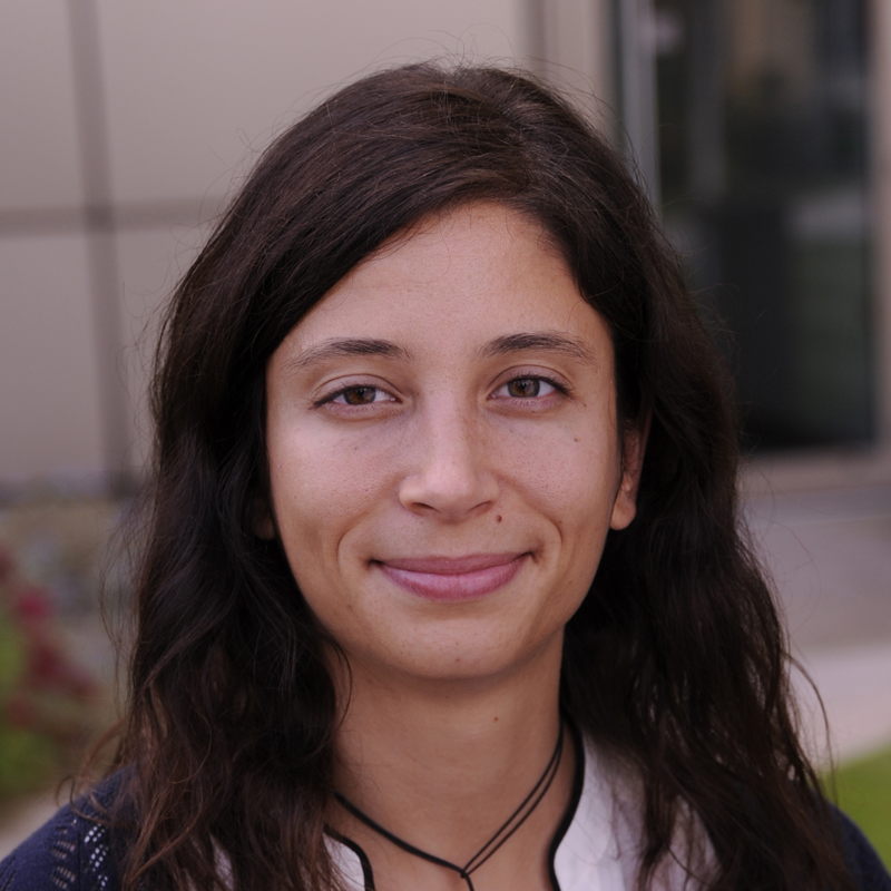 DKFZ PhD application system